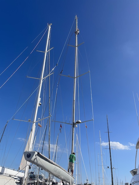 Blitzbesuch von Paula – PURE FUN SAILING